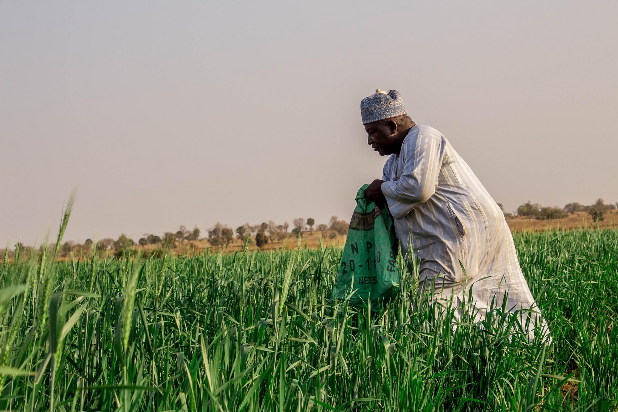 FMN AGRO| FMN AGRO-ALLIED DIVISION