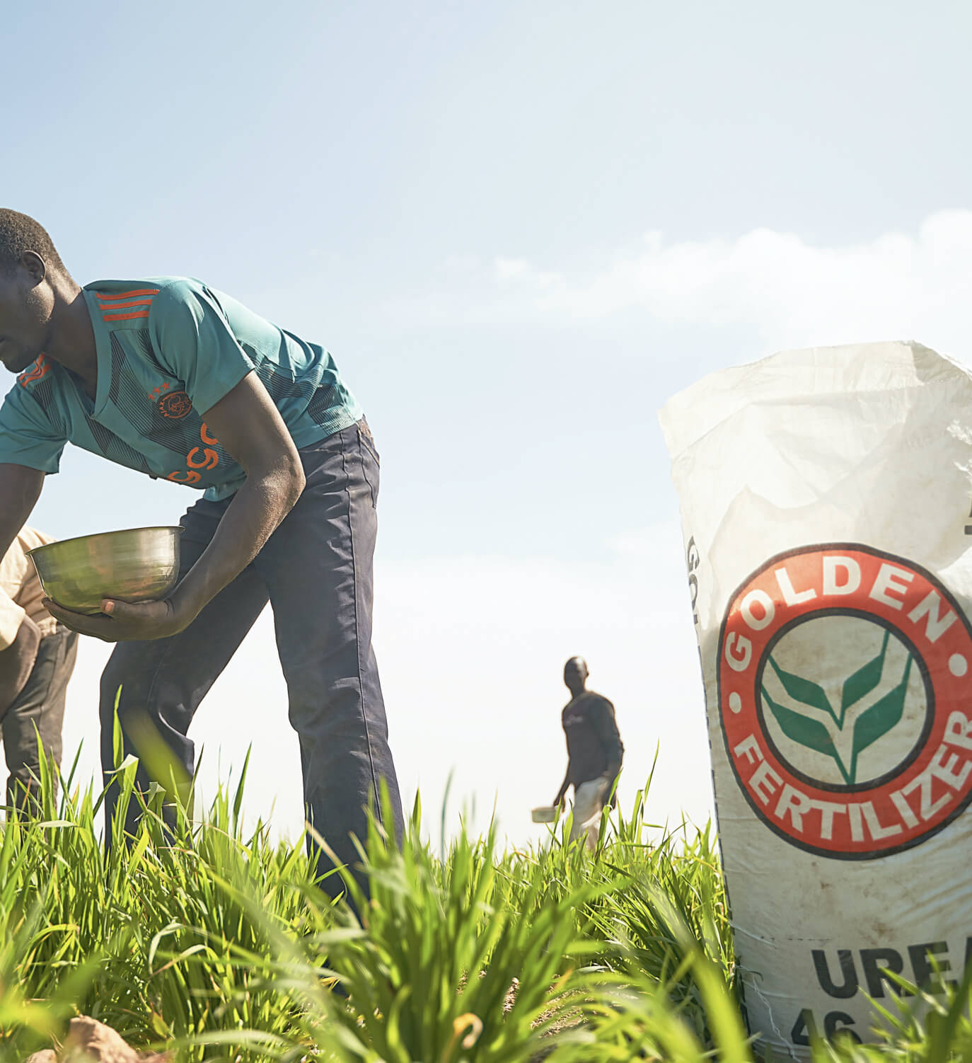 FMN AGRO| FMN AGRO-ALLIED DIVISION
